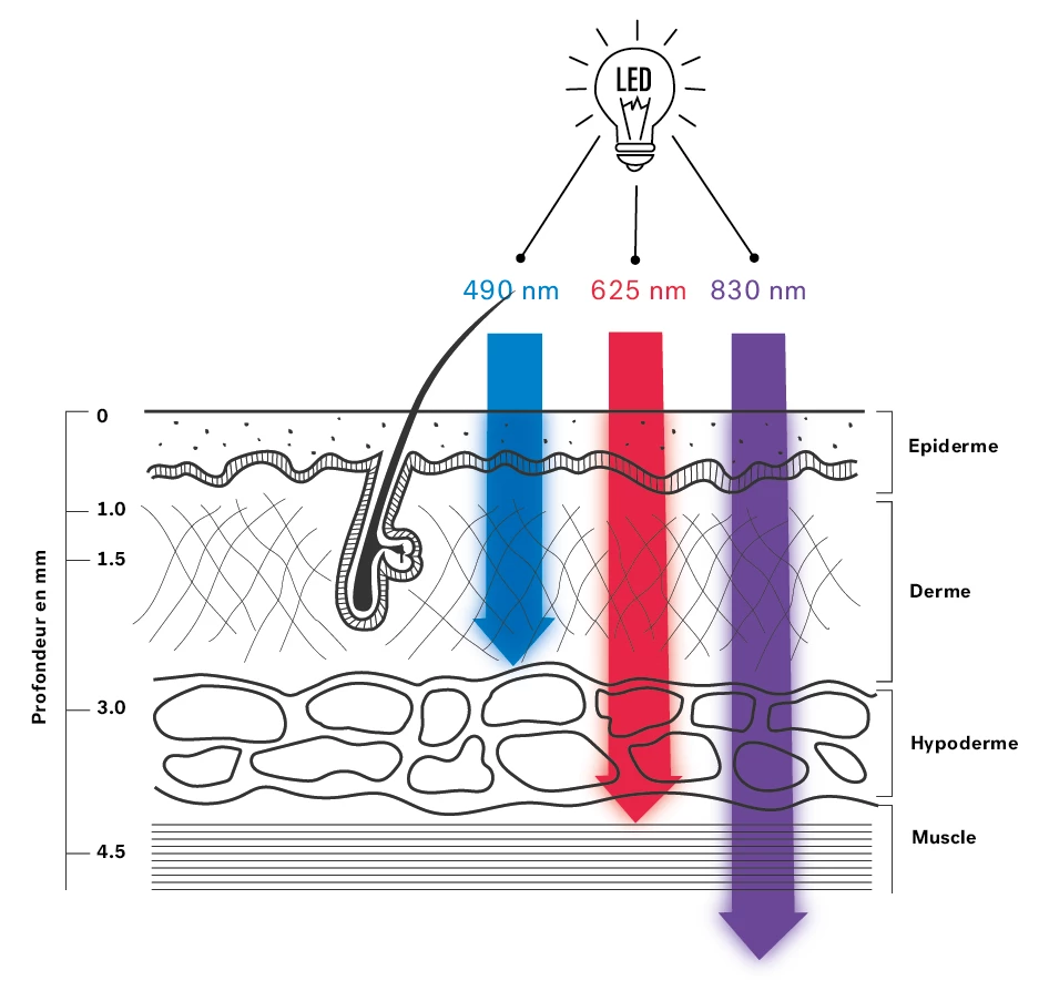Why invest in LED lamp photomodulation?